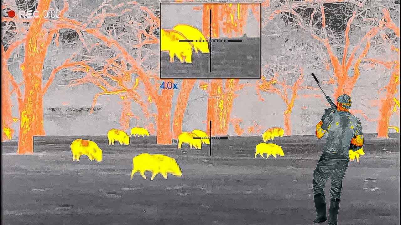 A Night with a Texas Thermal Hog Hunter - YouTube