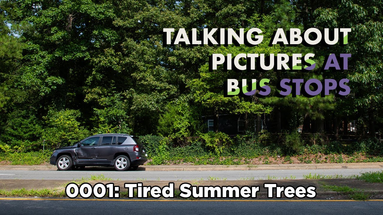 0001 Tired Summer Trees - YouTube