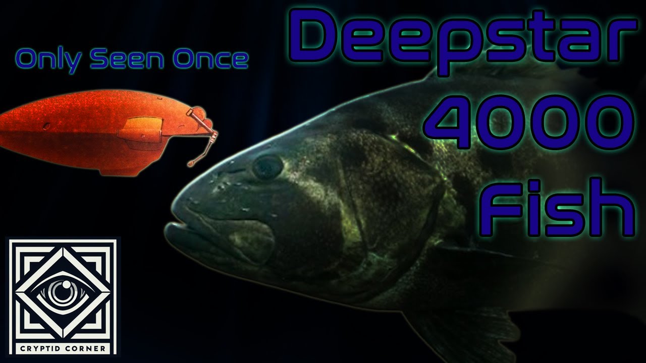 The Deepstar 4000 Fish | The Deep Sea Giant Only Seen Once - YouTube