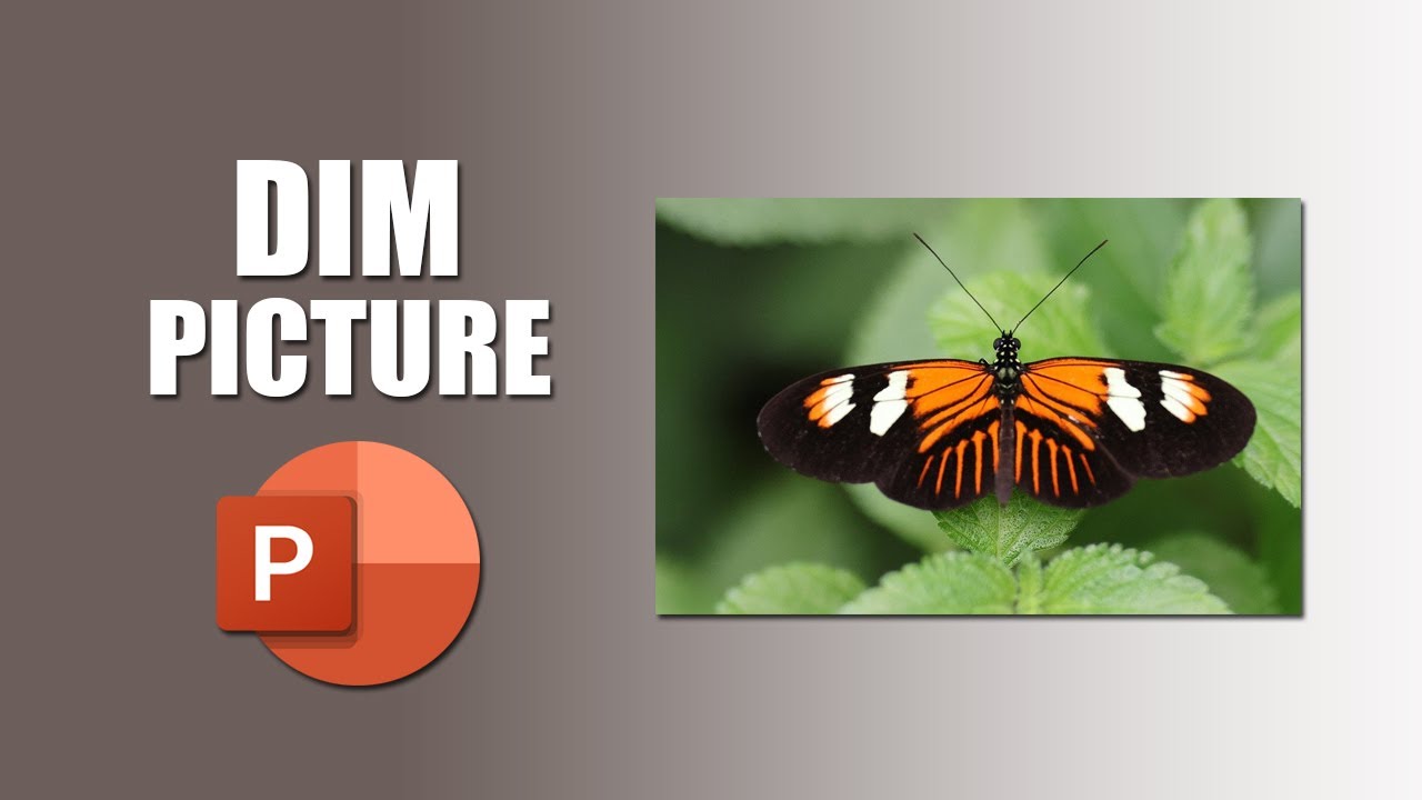 How to dim picture in PowerPoint - YouTube