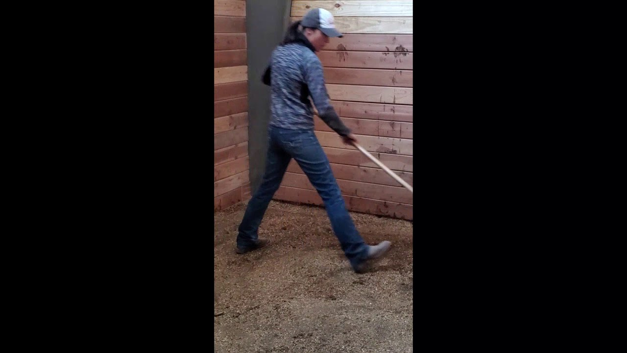 Properly cleaning a stall - YouTube