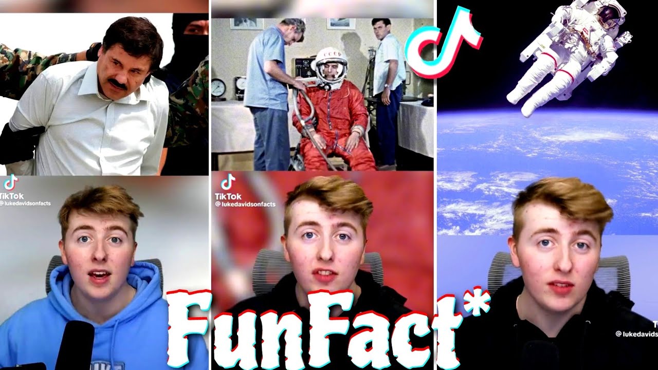 *1 HOUR* Luke Davidson TikTok Facts - Luke Davidson Facts TikTok ...