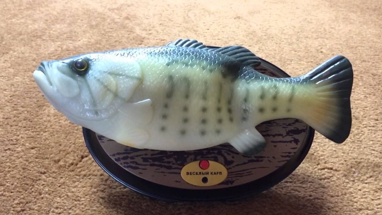 My Two Russian Singing Fish - YouTube