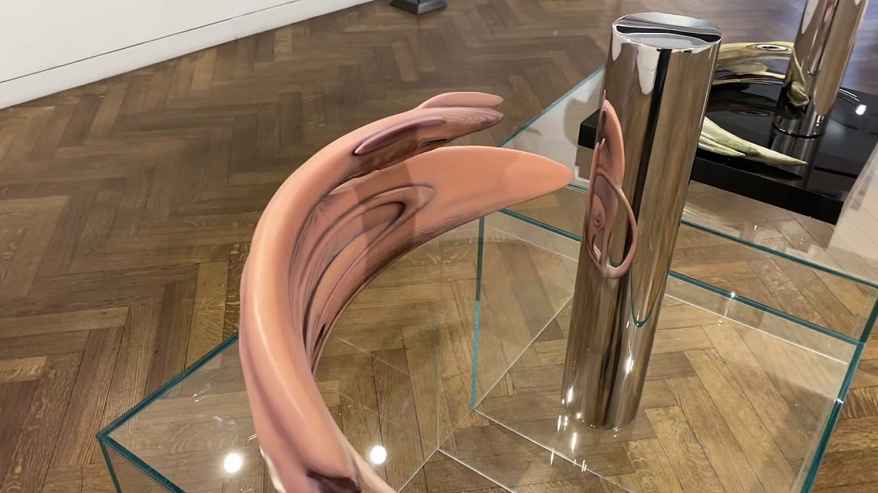 Anamorphic Oil Painting: Savoy Cat by Jonty Hurwitz - YouTube