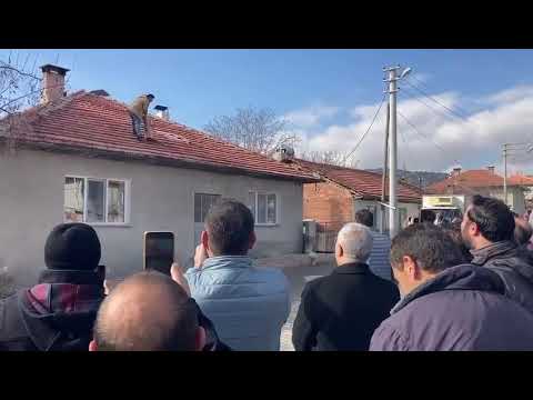 Burdur ömür karakaya kütük atma töreni