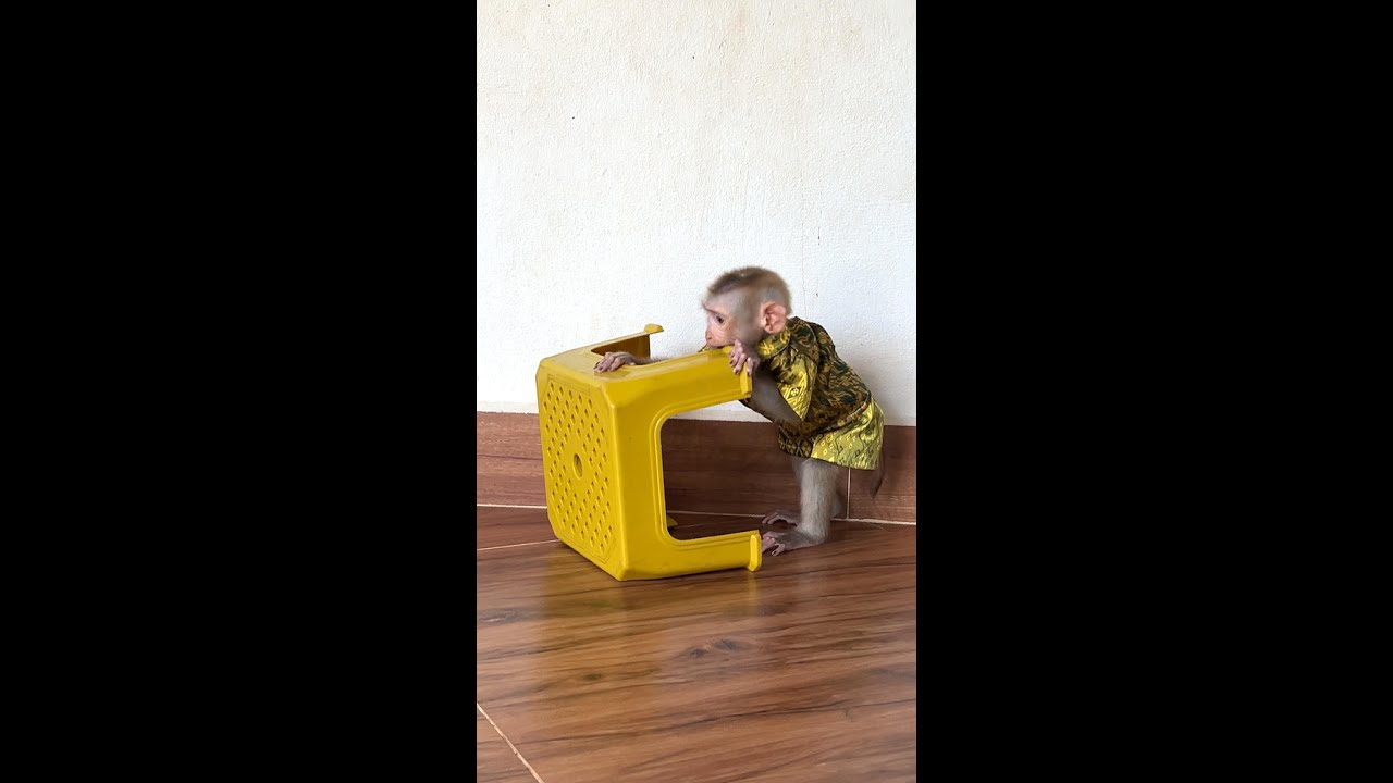 Good morning from Maddox - YouTube