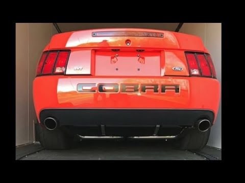 2004 Competition Orange Terminator Cobra: Story - YouTube