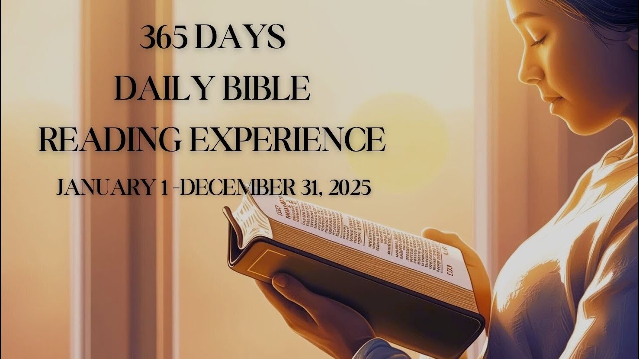 365 DAYS OF DAILY BIBLE READING EXPERIENCE II The Word of God II ...