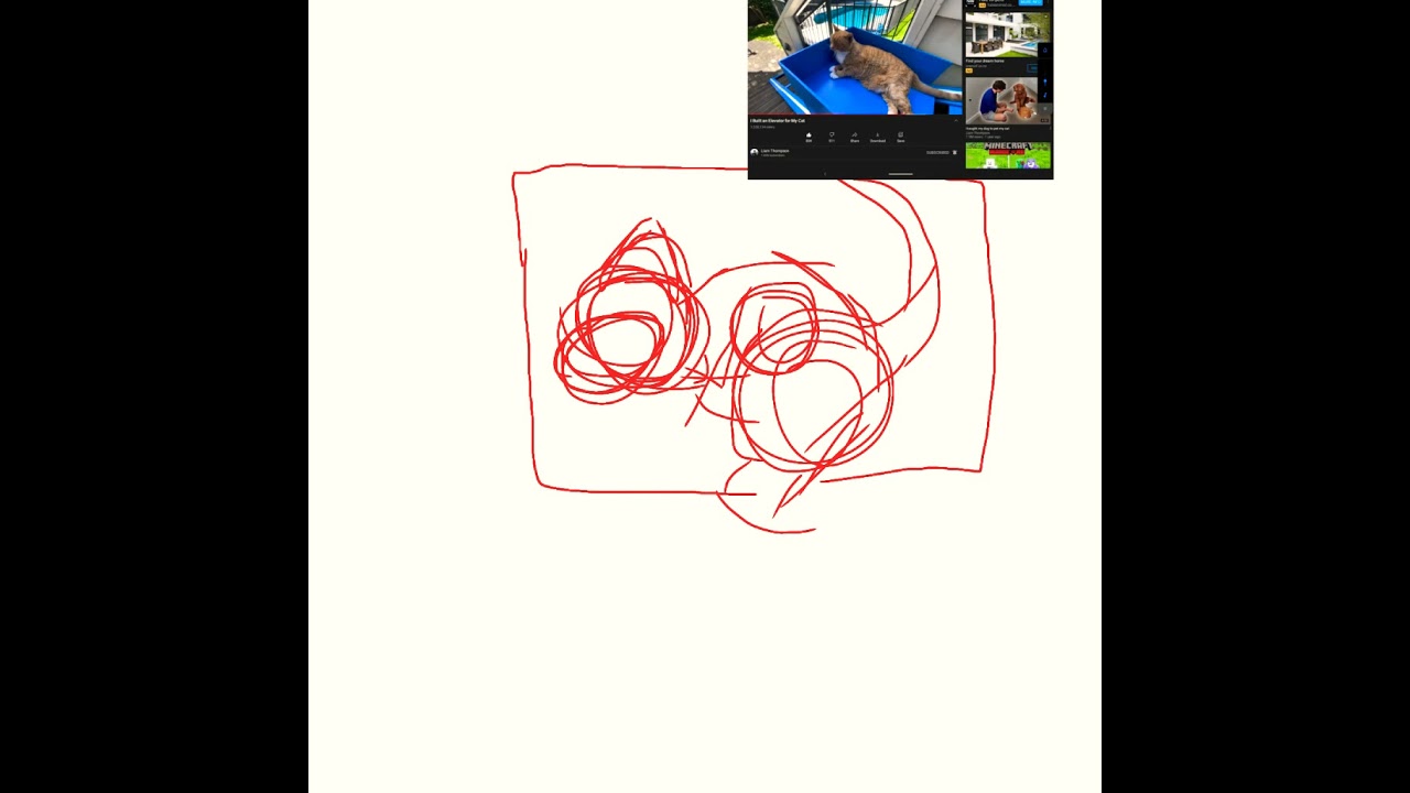 Frodo is king(Liam Thompson's cat) - YouTube