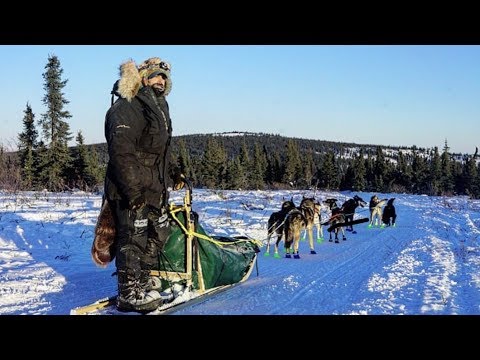 Navy SEAL Dog Musher Jeff Reid of Frozen Trident Kennel PT 1 - YouTube