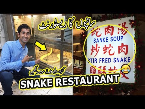 Snake Restaurant in Taiwan 🇹🇼 (Don't watch if you have a weak heart ...