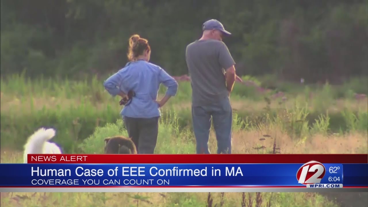 Human case of EEE confirmed in Mass. - YouTube
