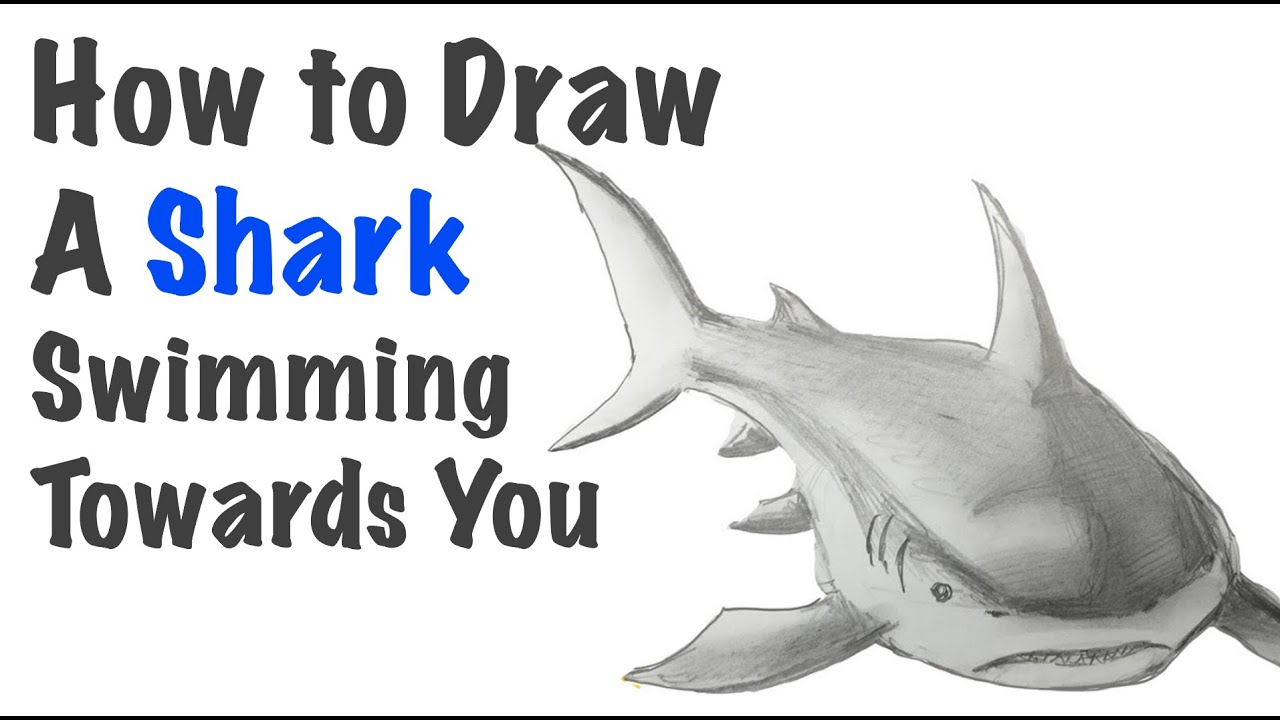 How to Draw a Shark Swimming Towards You - YouTube