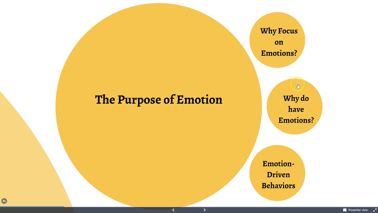 Purpose Of Emotions YouTube purpose-of-emotions-youtube