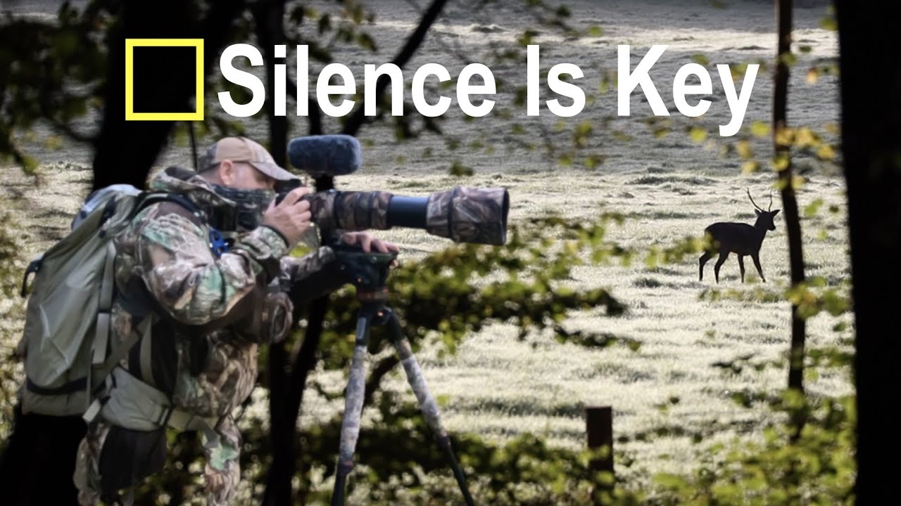 Wildlife/Nature Photography | Silence Is Key - YouTube