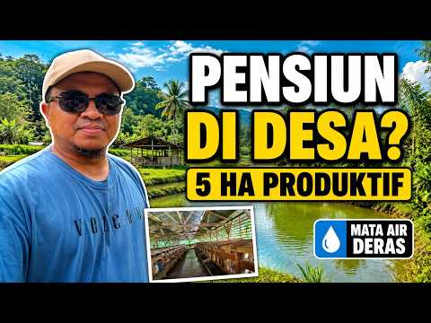 Lahan Produktif 5 HA di Ciamis, Cocok Buat Pensiun dan Usaha Ternak
