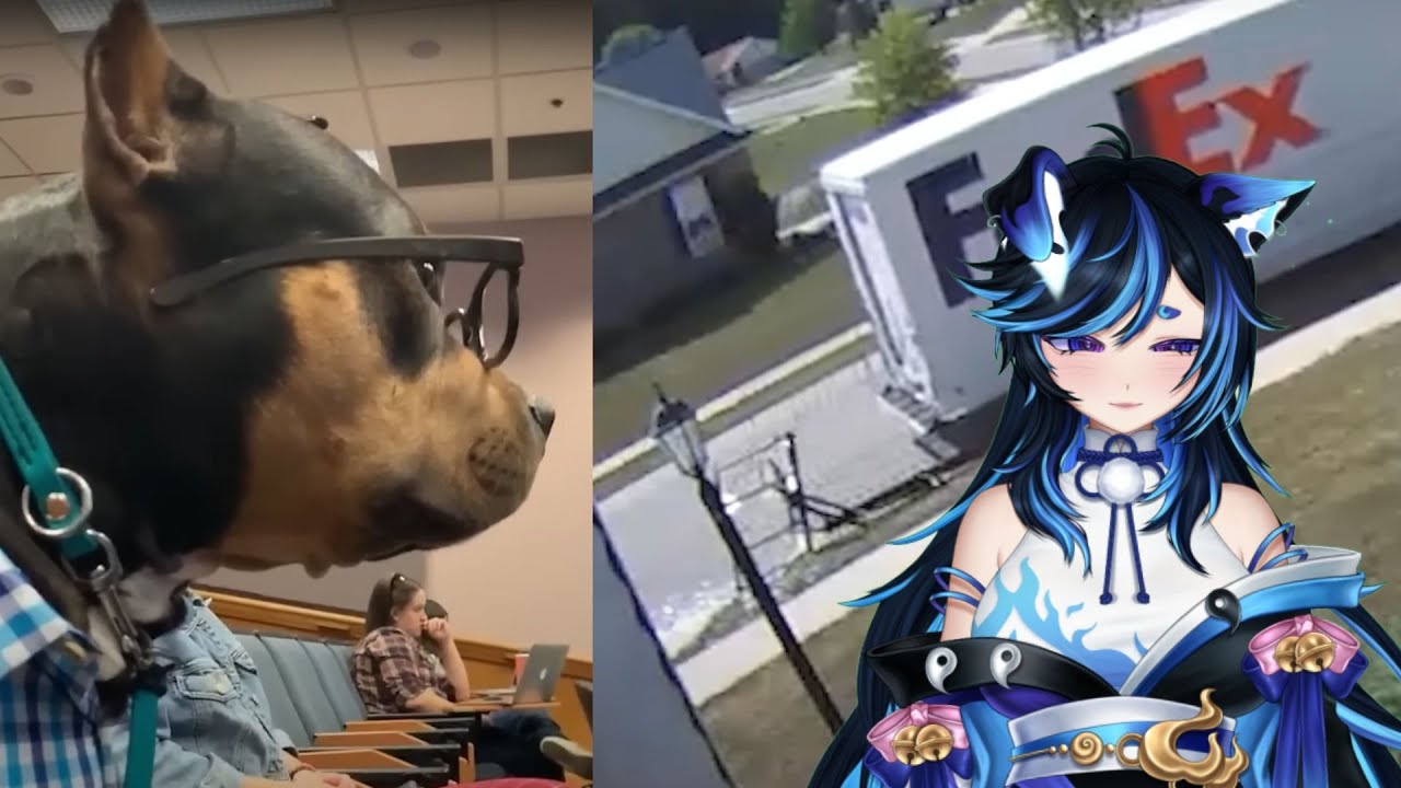 ITS RUINEDDDDDD | Hexi Reacts to Daily Dose - YouTube