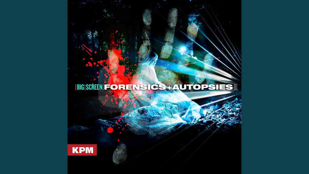 Bold Action - YouTube