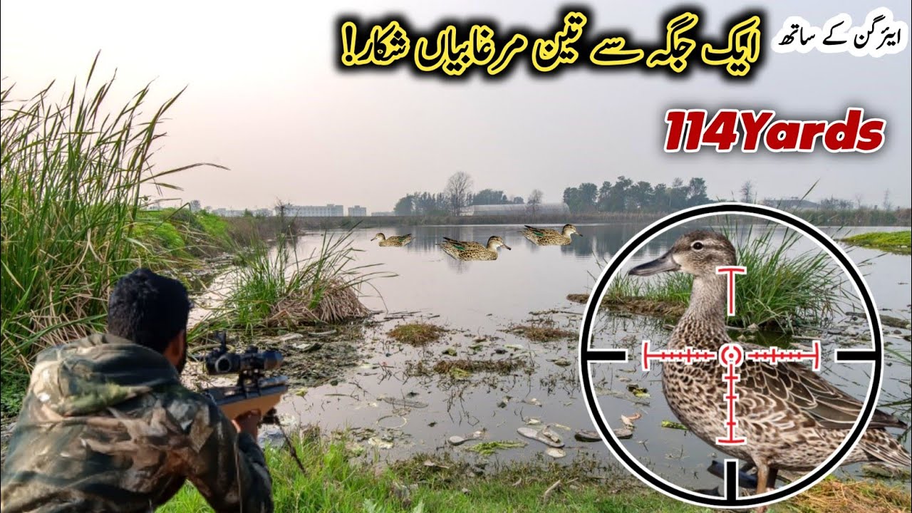 Duck Hunting At Fish Farm In Pakistan With PCP Uragan .22|Murgabi Ka ...