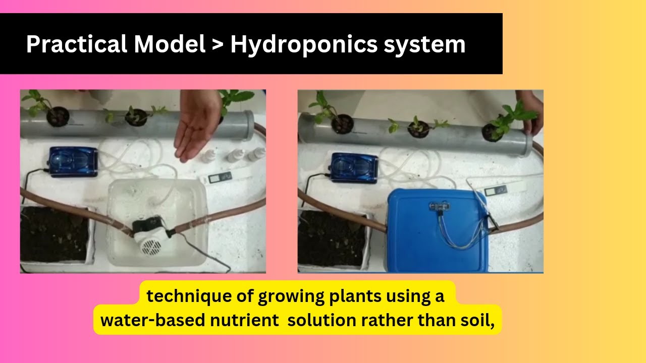 Practical Model/Part-2/Project on Hydroponics system - YouTube