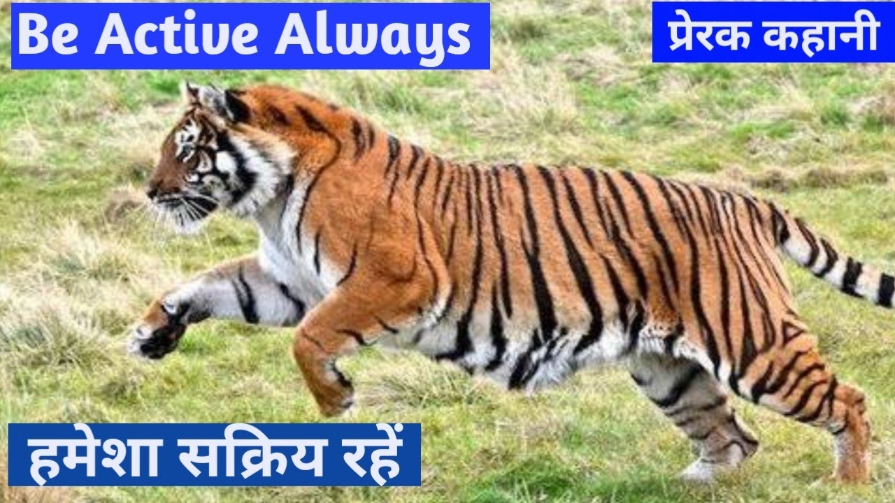 Be Active Always ll हमेशा सक्रिय रहो #story #motivation - YouTube