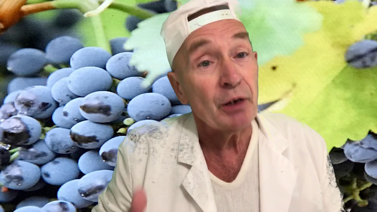 They did surgery on a grape 🍇 - YouTube