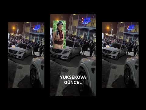 Şemdinli’de ceviz ağacından düşen 64 yaşındaki Ferho Sevmiş hayatını kaybetti