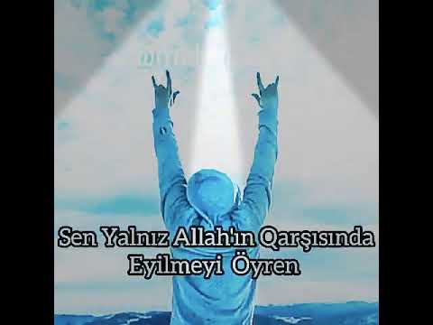 Peçat sozler.WhatsApp status video