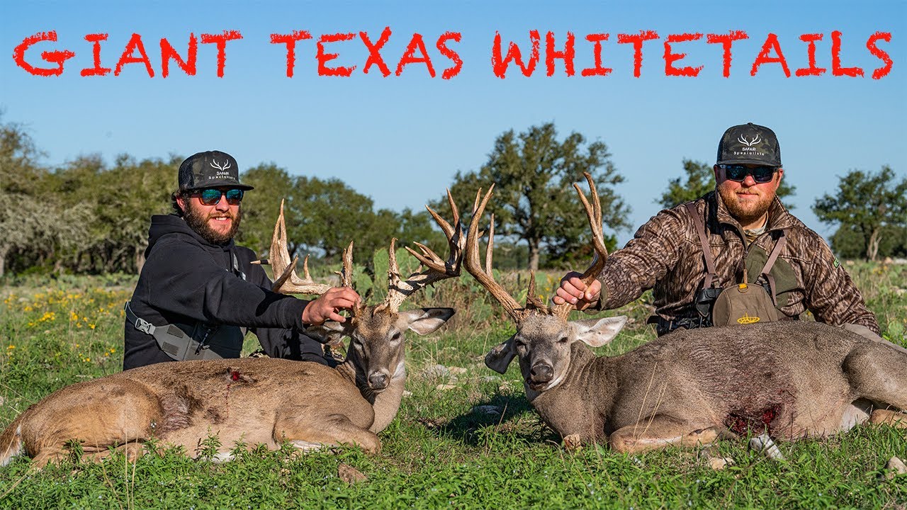 Giant Texas Whitetails with Safari Specialists! - YouTube