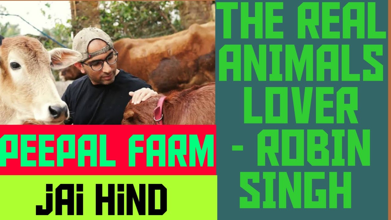 THE REAL ANIMALS LOVER - ROBIN SINGH । PEEPAL FARM । JAI HIND - YouTube