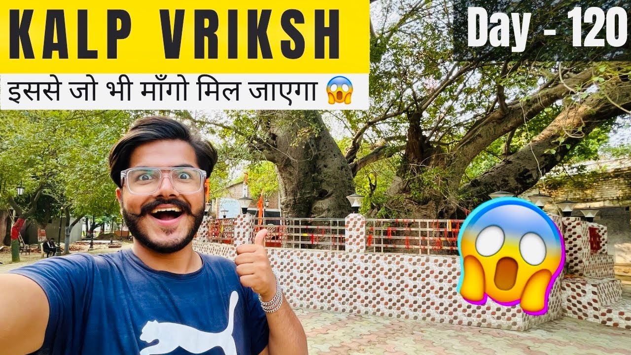 KALP VRIKSH 😱 SULTANPUR TO PRAYAGRAJ | DAY 120 | #kalpvriksh #prayagraj ...