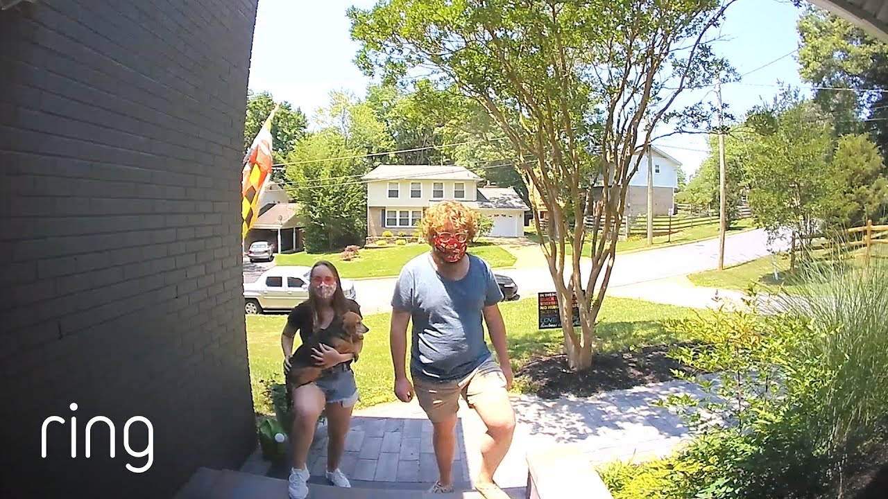 Dogs Owner Uses Ring Video Doorbell Pro To Thank Neighbors For Bringing ...