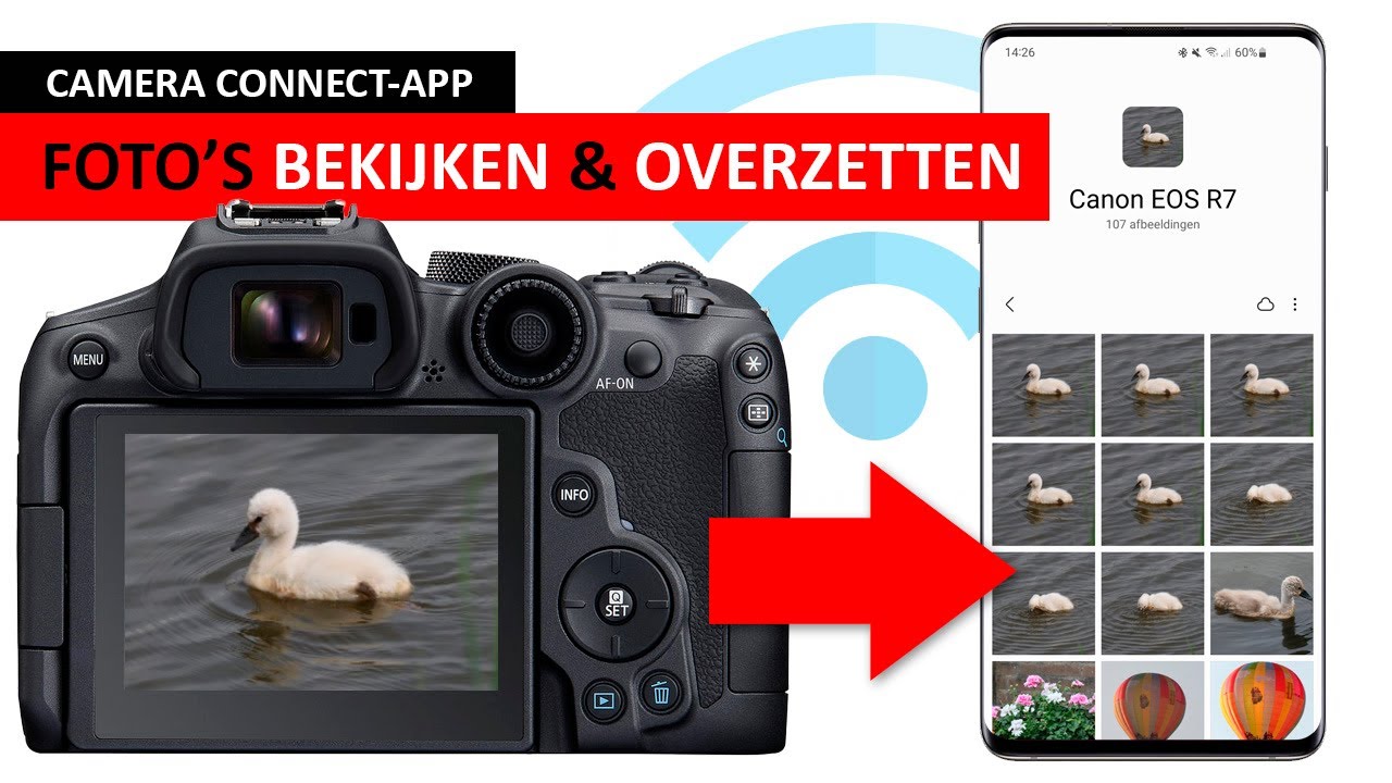 Canon Camera Connect-app 2023 | Deel 02 | Foto's bekijken en downloaden ...