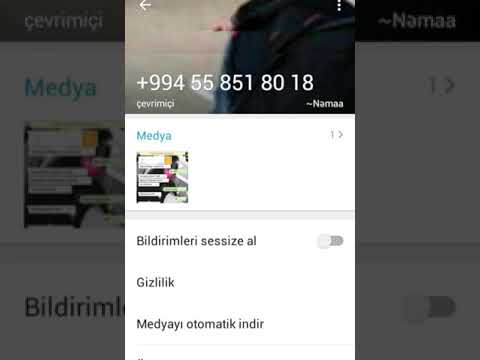 Bunlar da peysər Salmanovun nömrələridi.