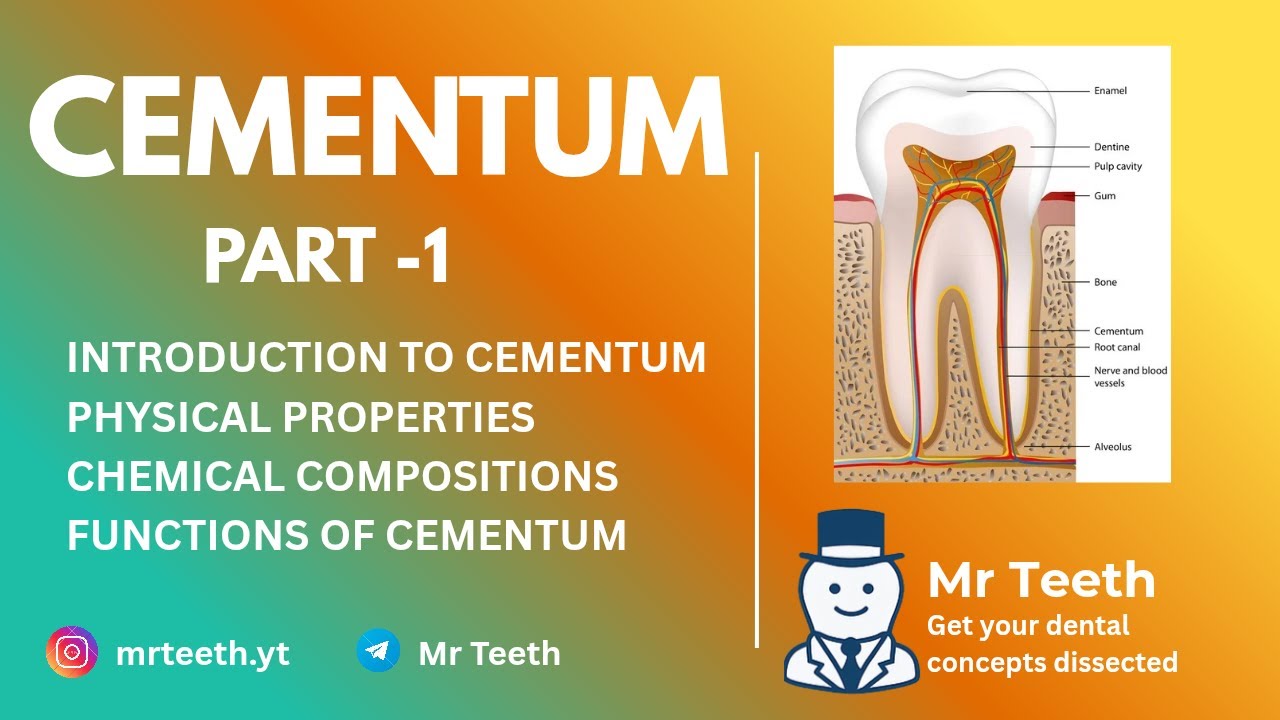 Cementum|Part-1|Oral Histology|Dental Histology|Cementum Histology ...