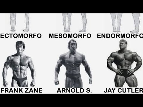 Como Saber Seu BIOTIPO CORPORAL - YouTube