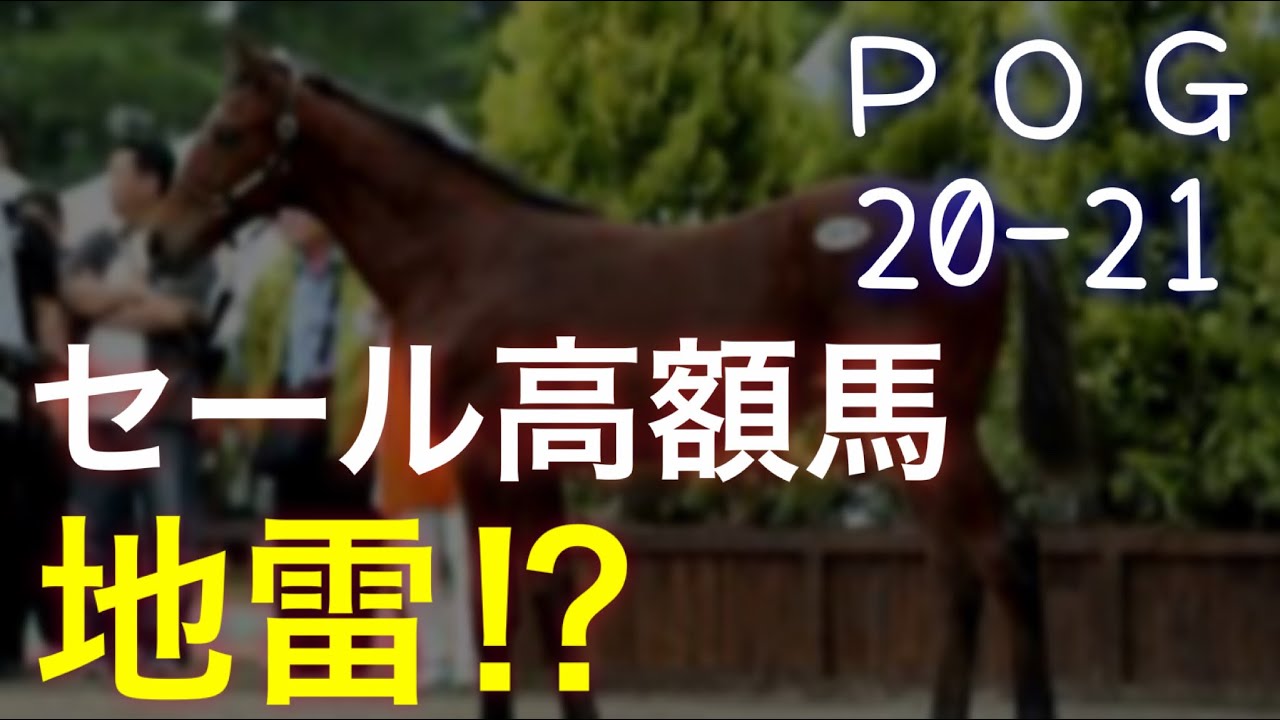 【POG/20-21】セレクトセール高額馬は地雷なのか？指名すべきか検証してみた【落札価格】 - YouTube