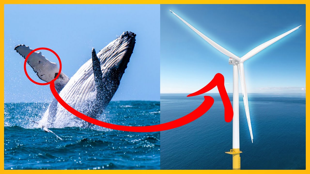 TOP 10 UITVINDINGEN GEBASEERD OP DE NATUUR! 😮 - YouTube