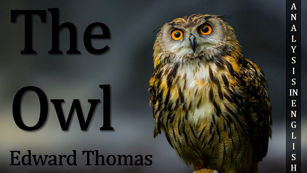 The OWL II Edward Thomas II Explanation and Analysis - YouTube
