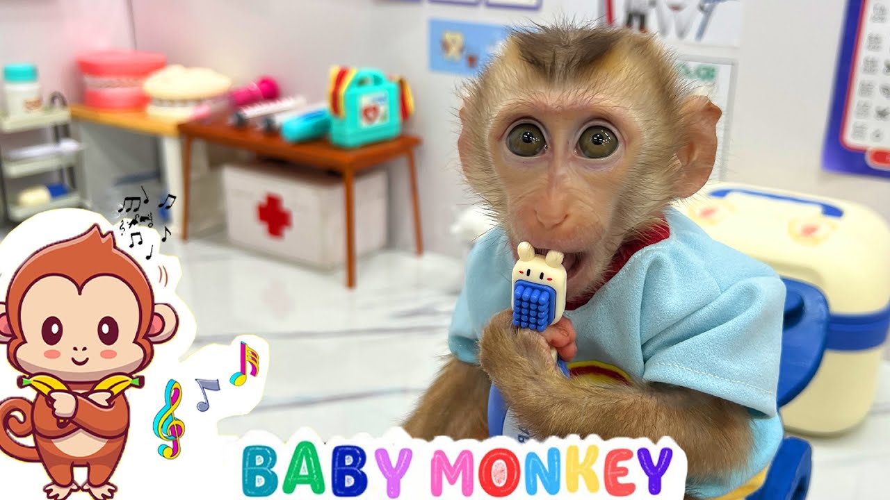 Going To The Dentist Song 🦷 | Baby Monkey Animal Dance - Nursery Rhymes ...
