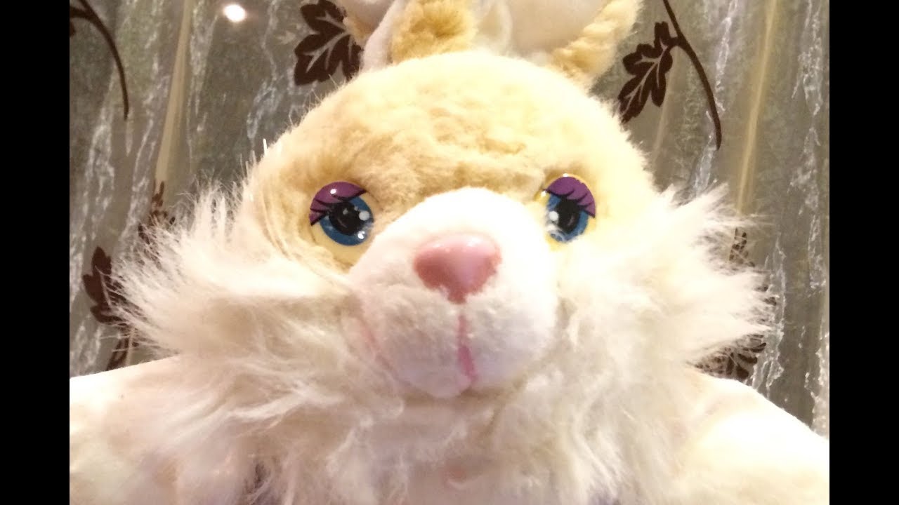 Funny dancing rabbit. Dancing rabbit for kids. Rabbit goes crazy - YouTube