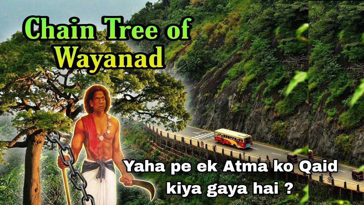 Haunted Chain Tree of Wayanad - YouTube