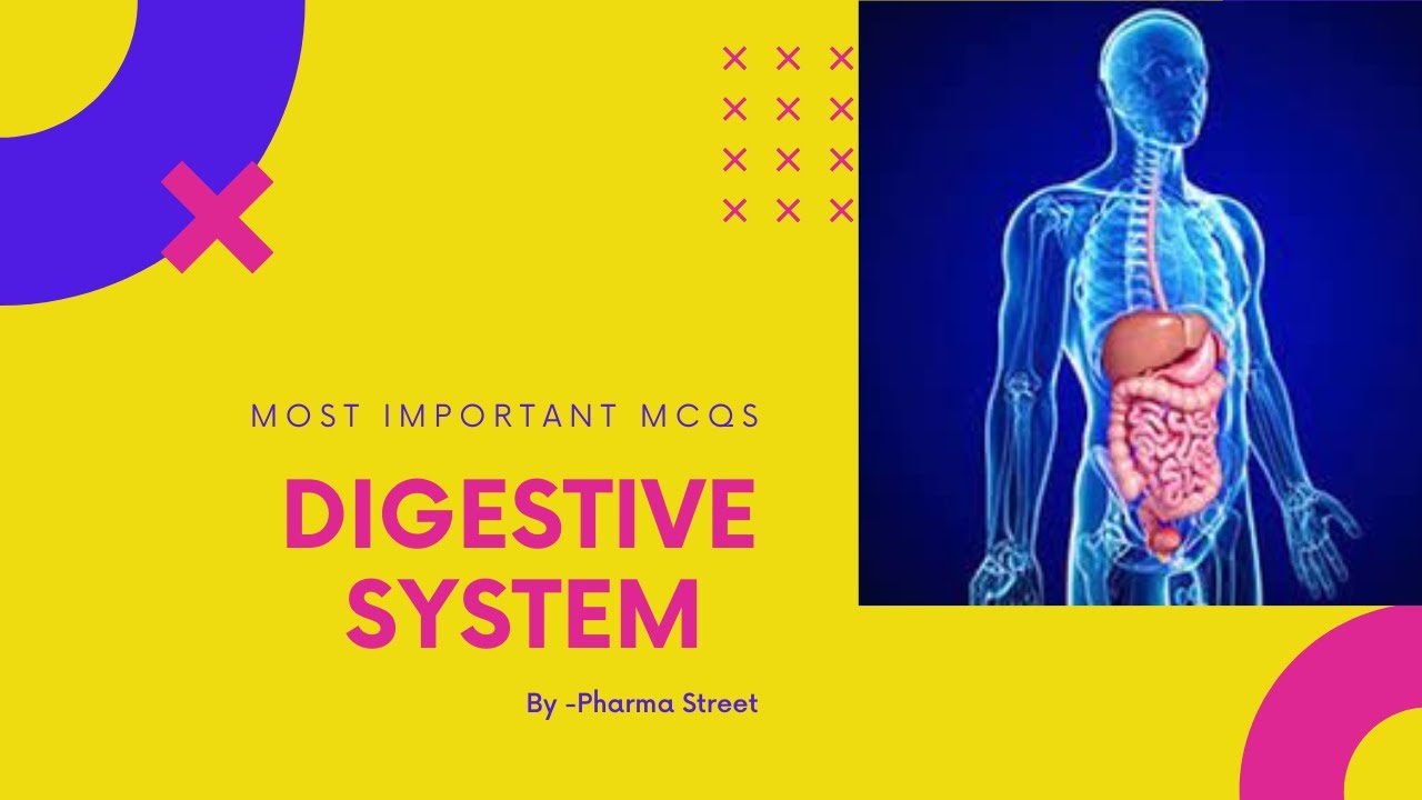 HUMAN ANATOMY : DIGESTIVE SYSTEM MCQ SOLUTION .PHARMA STREET |GPAT ...