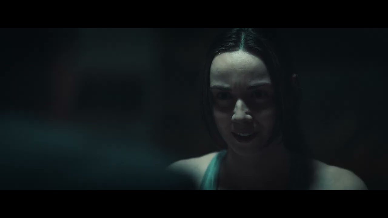 OFFICIAL TRAILER for Blood And Snow - YouTube