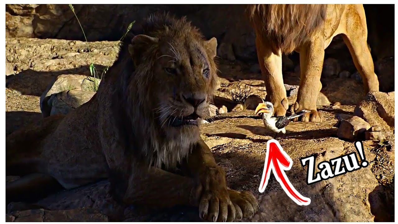 EXTRA CLIP HD - Zazu Casting | Rei Leão 2019 | - YouTube