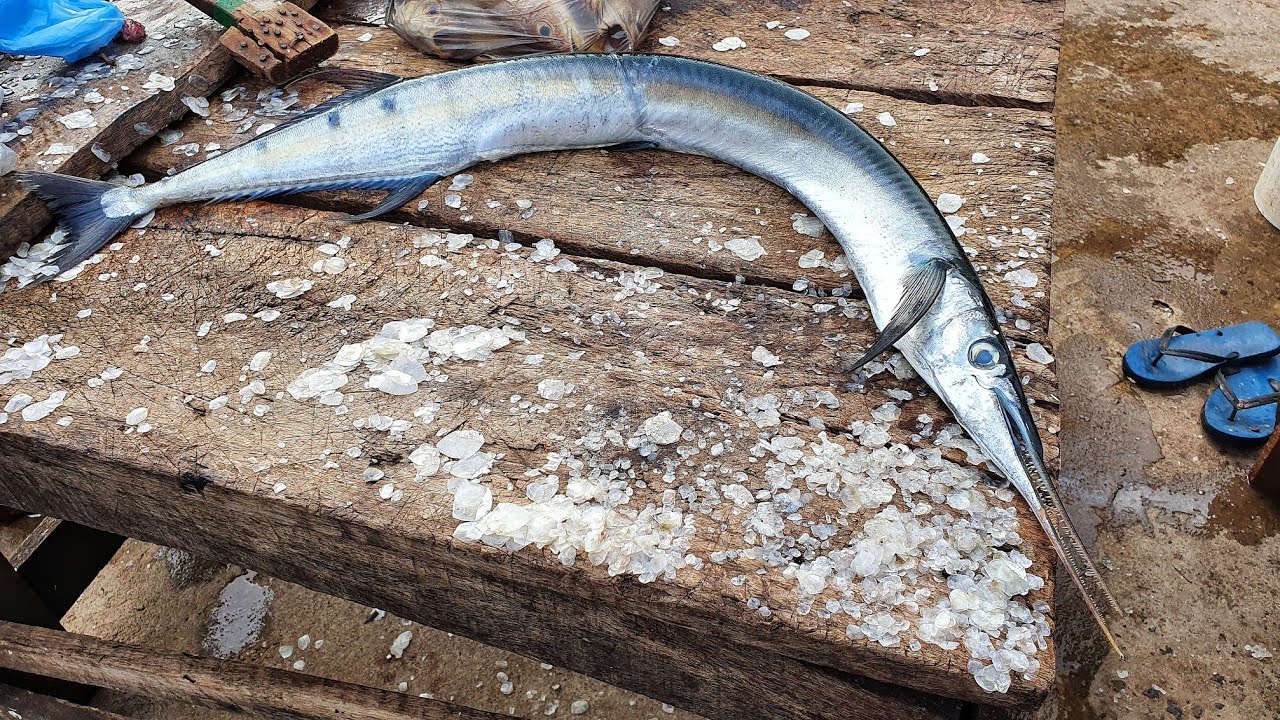 Long Gar Fish Slicing | Gar Fish Slicing for Fry - YouTube