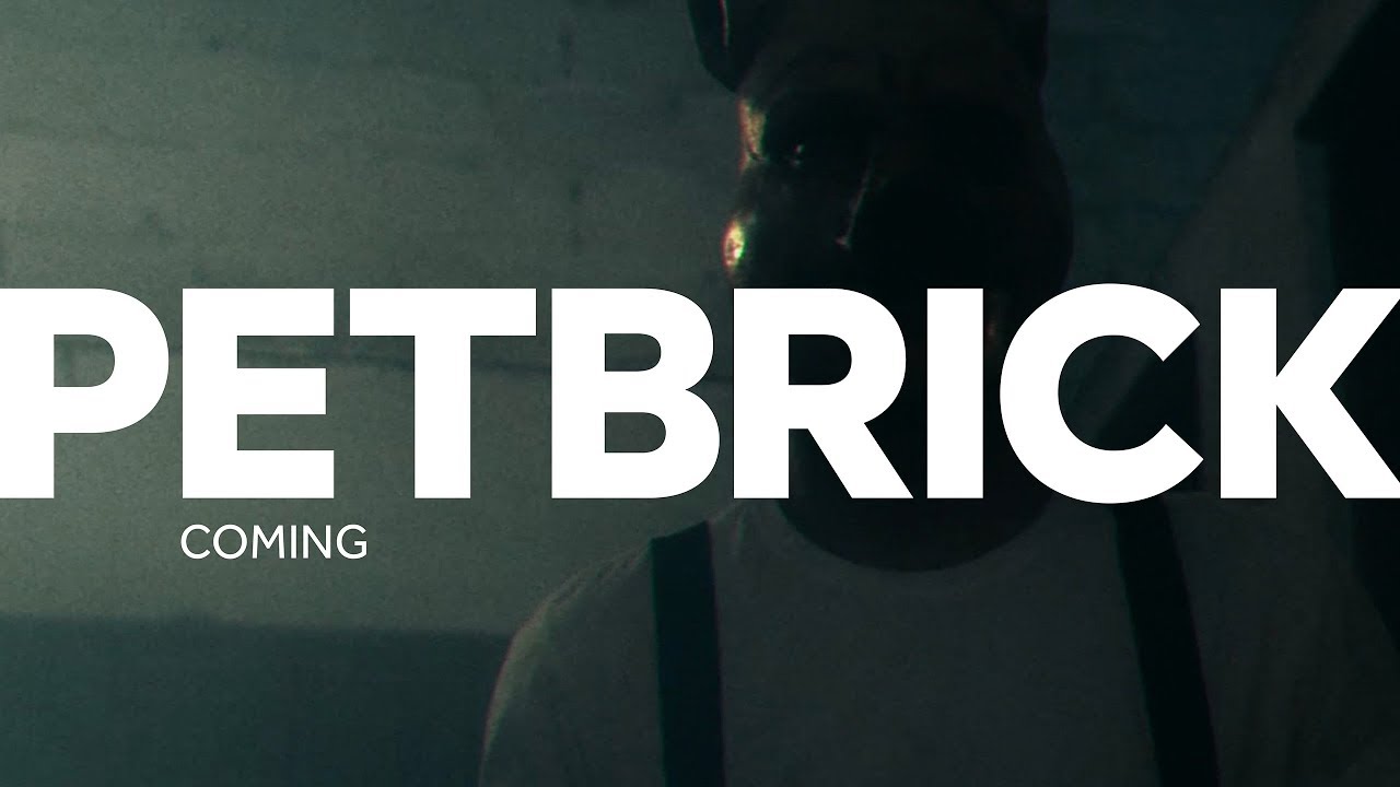 PETBRICK – Coming (feat Laima Leyton) - YouTube