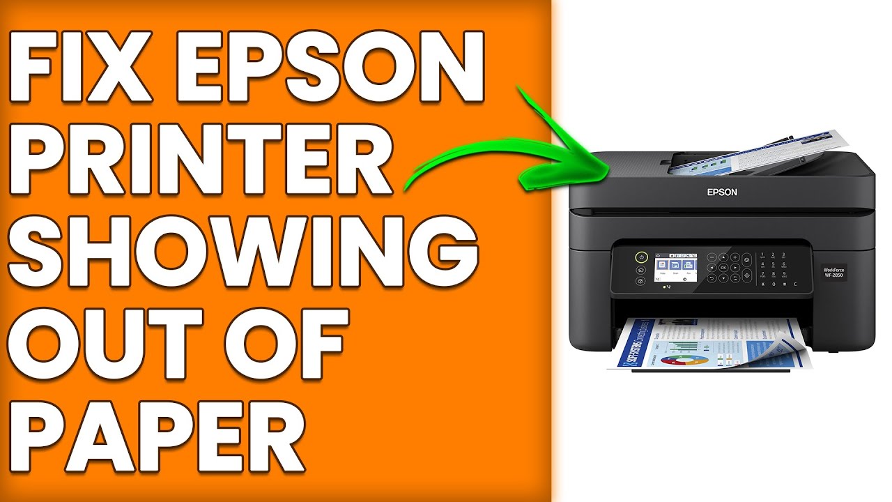 How To Fix Epson Printer Showing Out Of Paper (Quickly Solve The ...
