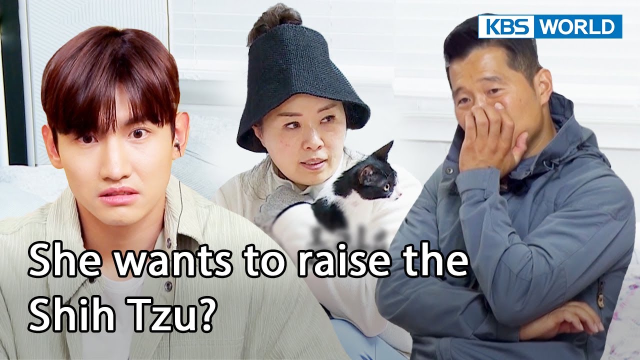 She'll have four pets...??? 😨 [Dogs are incredible EP150-3] | KBS WORLD ...