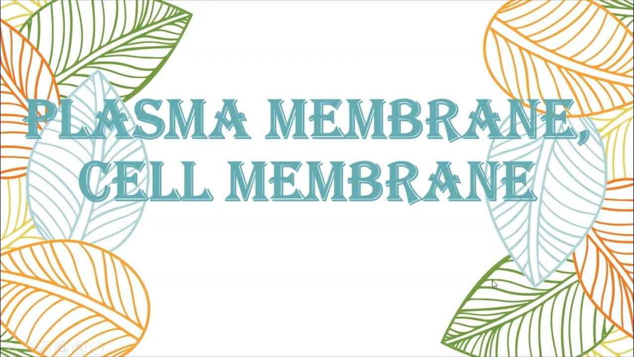 Difference between cell membrane and plasma membrane || biology - YouTube